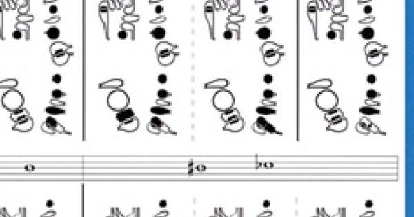Professional Bassoonist Fingering Chart